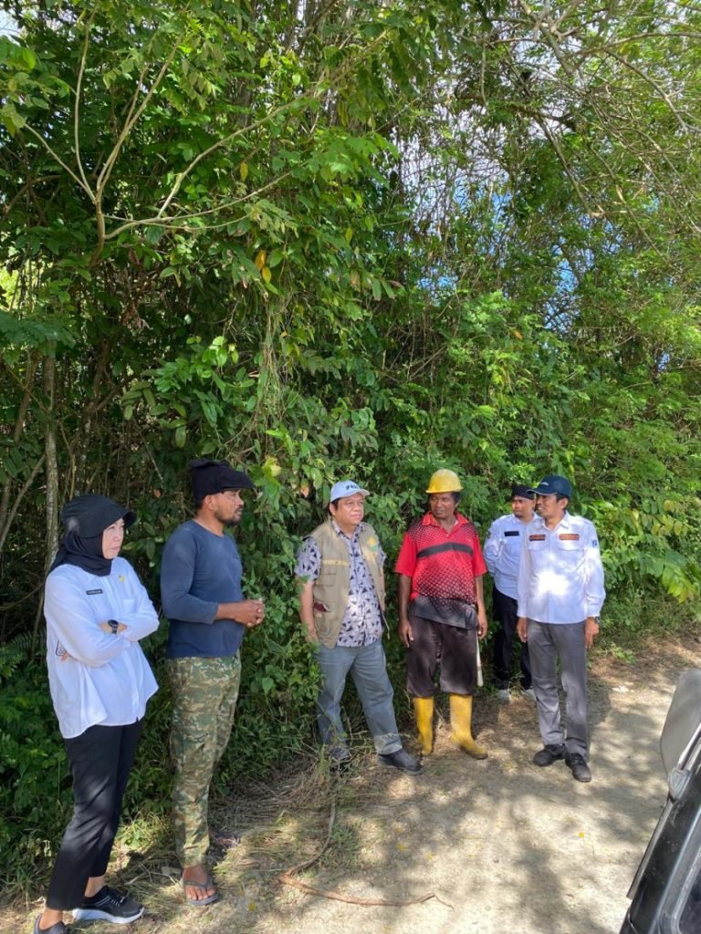 Sultra Canangkan Hiliriasasi Jambu Mete – Kendari News