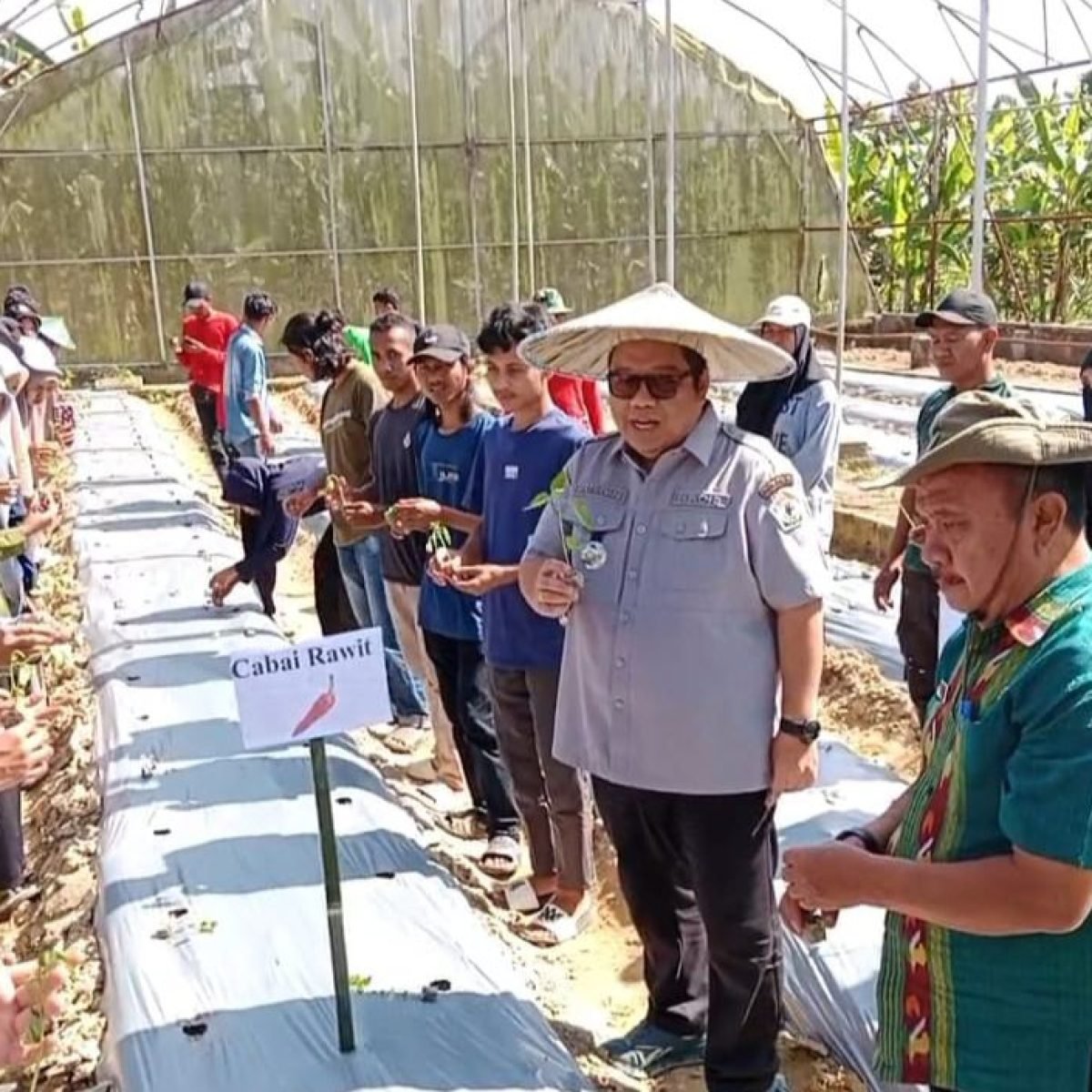 Kendalikan Inflasi, Rusdin Ajak Warga Budidaya Sayuran – Kendari News